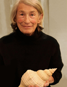 Journey with Jesus - The Summer Day